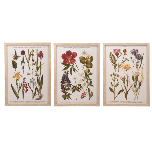 Floral Chart Wall Decor – Jardines Domaine