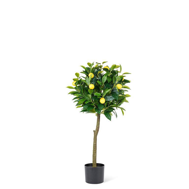 Topiary Lemon Tree-Small – Jardines Domaine